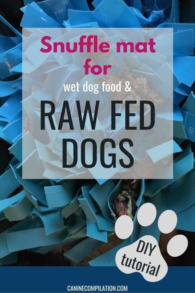 Best Homemade Raw Dog Treats - Canine Compilation