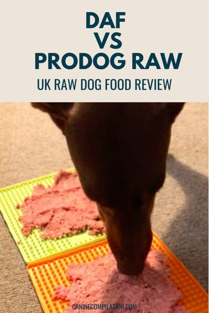 Best Raw Dog Food UK: DAF and Prodog Raw Reviews - Canine Compilation